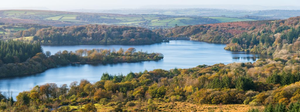 Torvale Shack - A Hideaway in Devon with Hot Tub